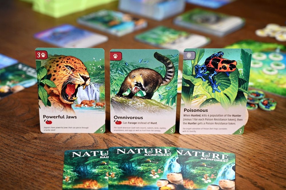 Nature: Module 5 - Amazon Rainforest – Tabletop Games Pty Ltd